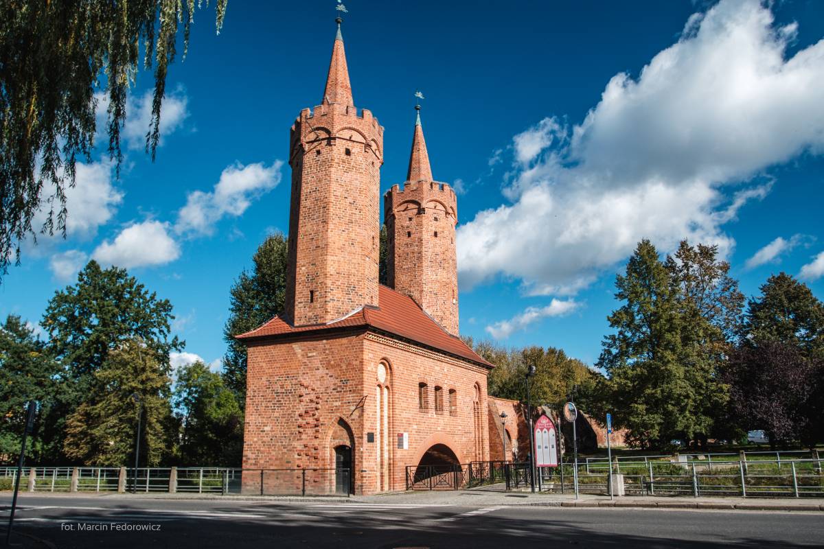 About project - Stargardzkie Gryfiki